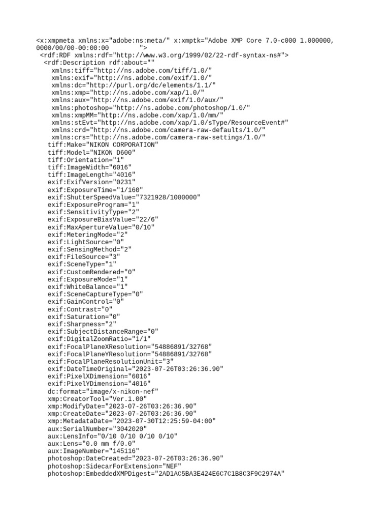 Nikon D600 NEF Image Metadata | PDF
