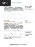 Pigeonetics Game Teacher Guide | PDF | Dominance (Genetics) | Allele