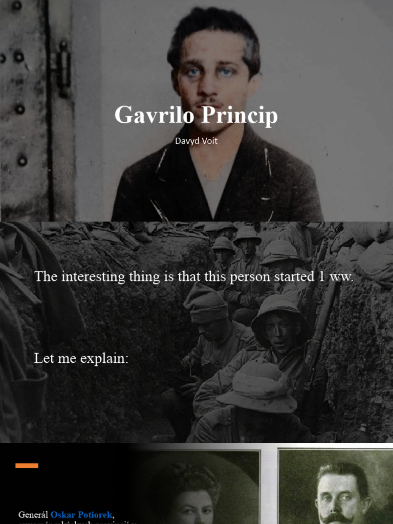 Gavrilo Princip | PDF