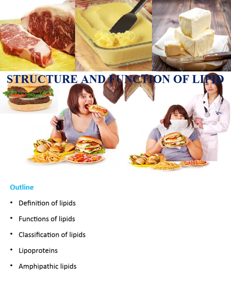 Structure and Function of Lipid | PDF | Lipid | Fatty Acid