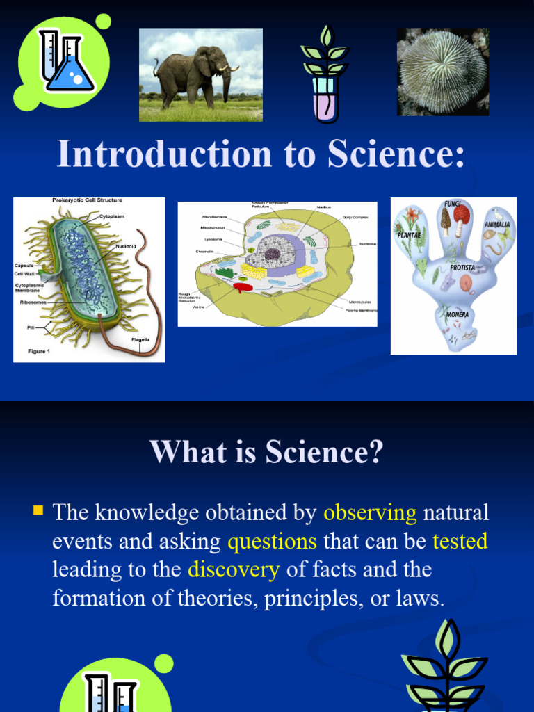 Summer Class Lesson 1 | PDF | Cell (Biology) | Science