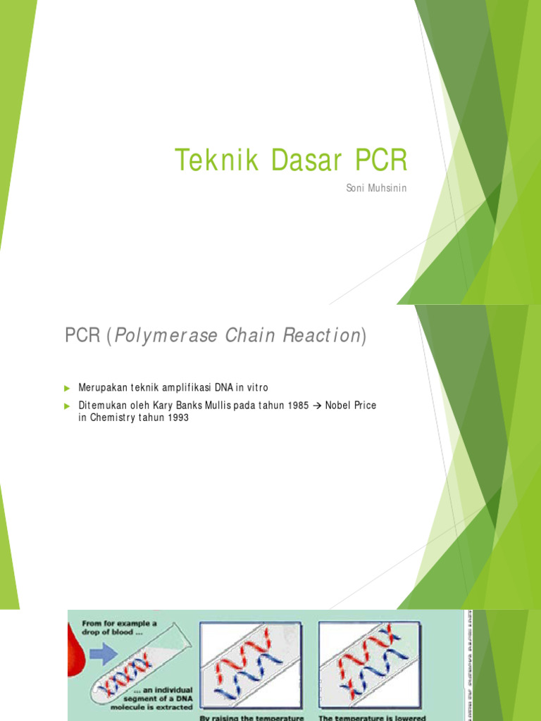 Teknik Dasar PCR | PDF