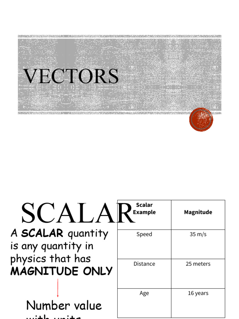 Lecture 2 Vectors | PDF | Euclidean Vector | Euclidean Geometry