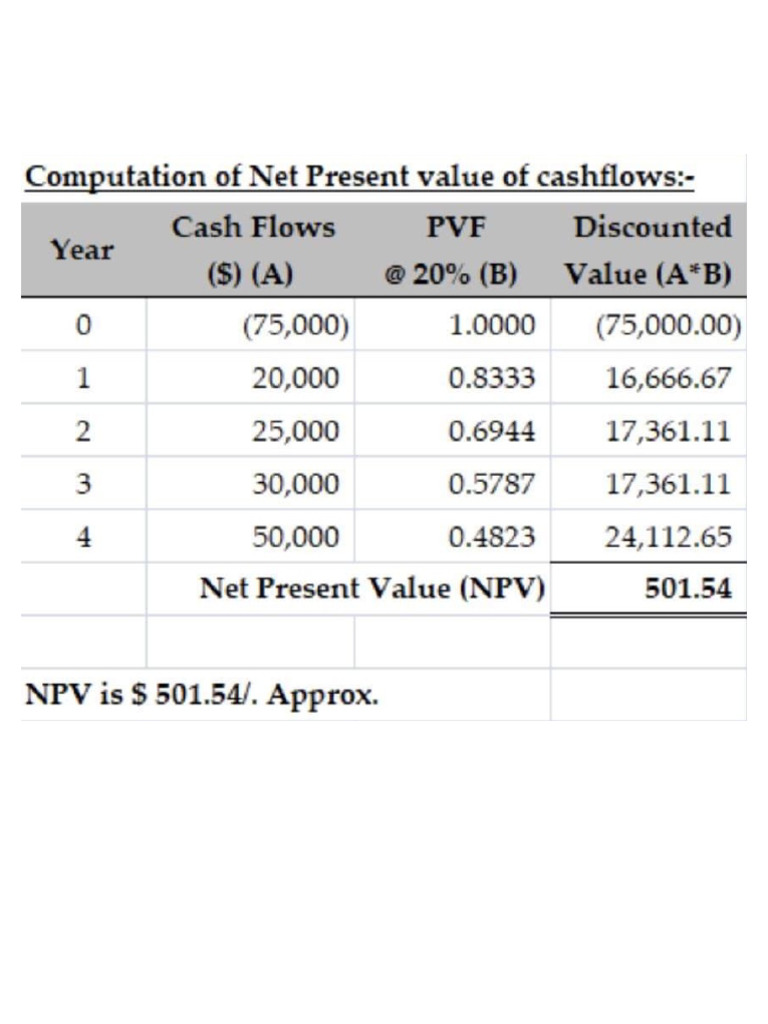 Discounted Cash Flow Calculation To Determine The NPV | PDF
