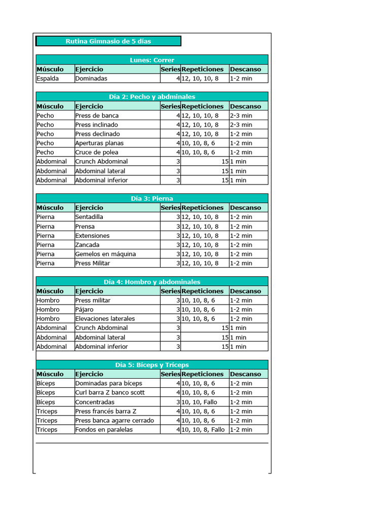 Plantilla para Rutina de Gimnasio Excel 5 Dias | PDF | Peso | Deportes ...
