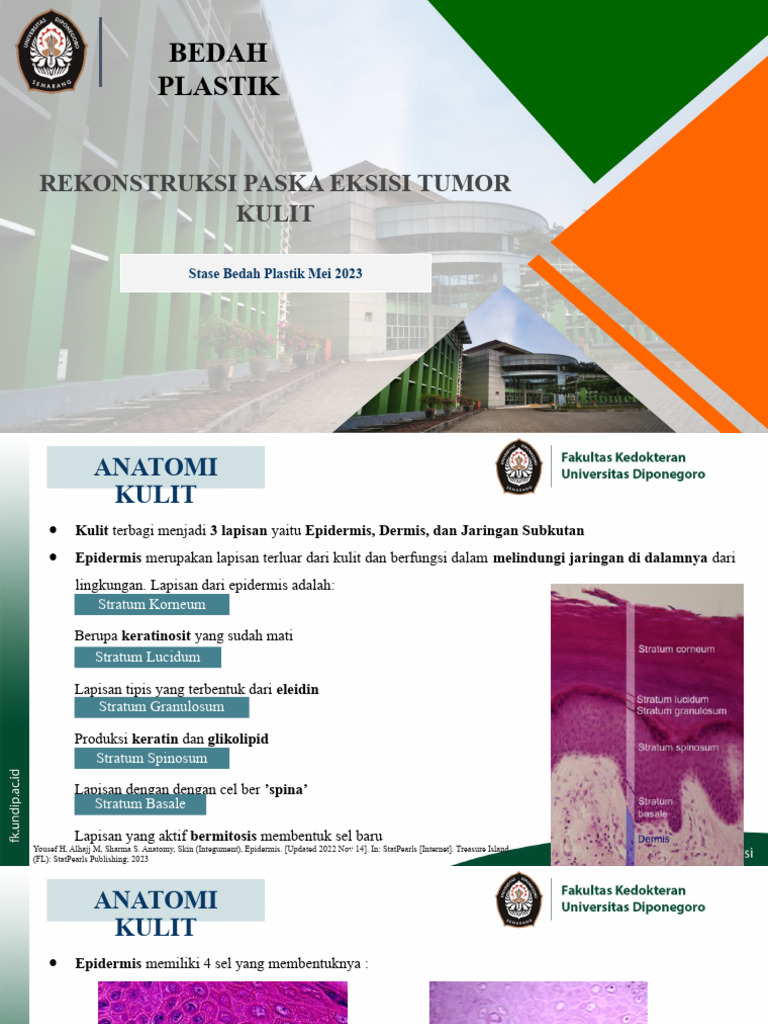 Rekonstruksi Pasca Eksisi Tumor Kulit | PDF