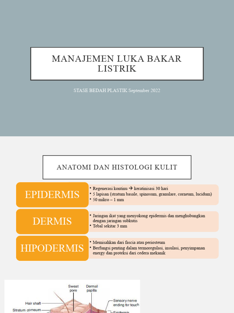 Luka Bakar Listrik | PDF