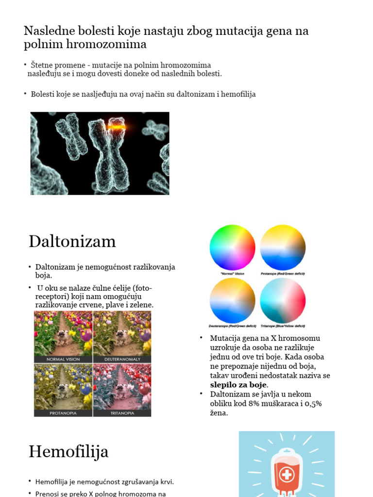 Nasledne Bolesti 2 | PDF