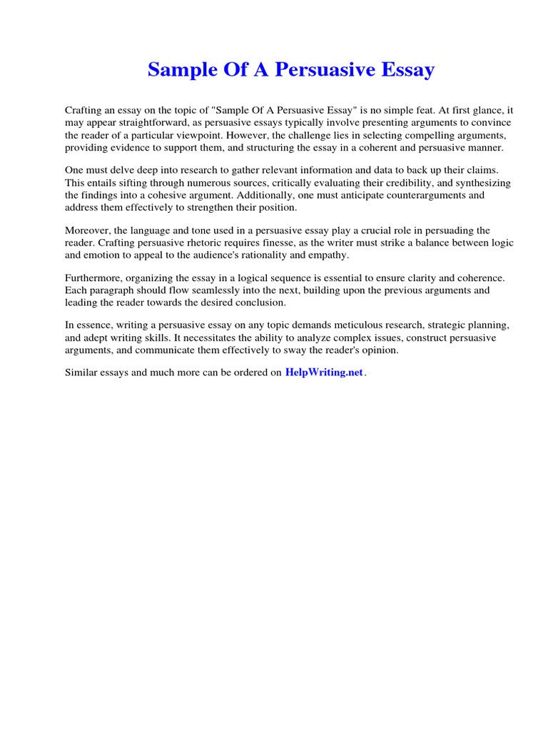 Sample of A Persuasive Essay | PDF | Computer Network | Marketing