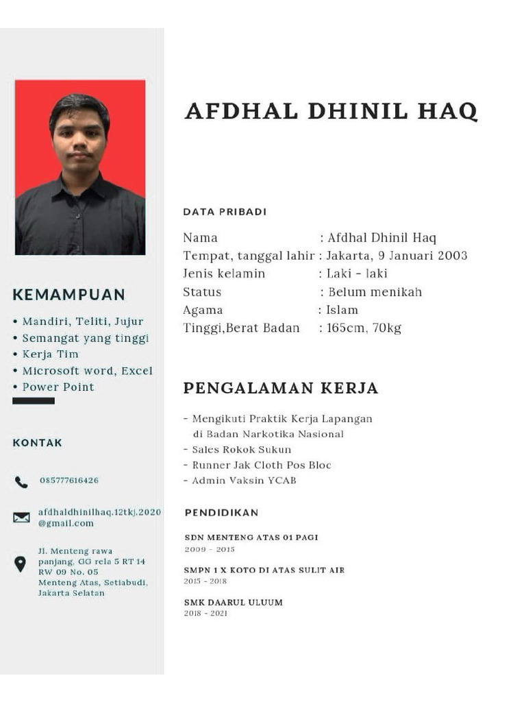 CV - Afdhal Dhinil Haq | PDF