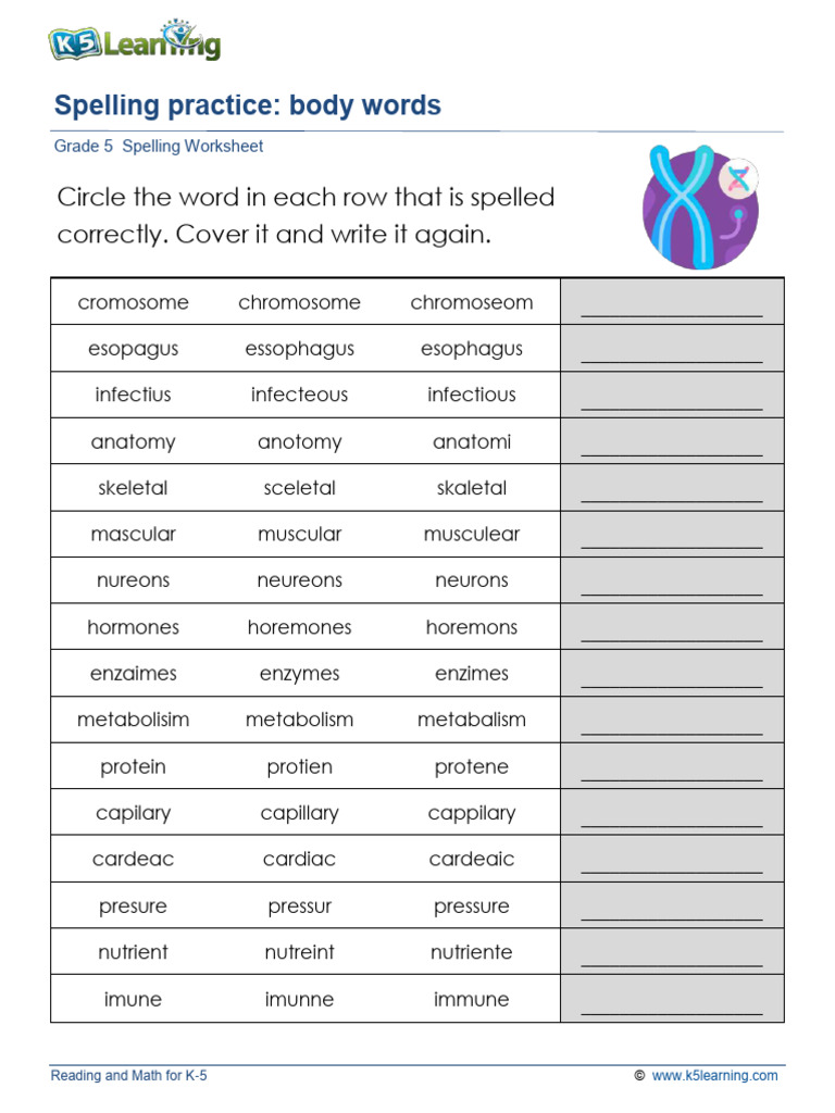 Grade 5 Spelling Challenge 3 | PDF | Skeletal Muscle | Human Body