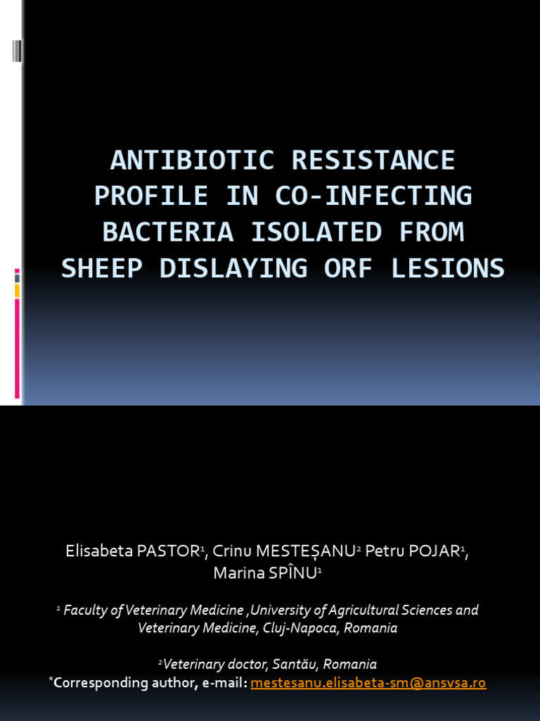 Antibiotic Resistance in Sheep Bacteria | PDF | Bacteria | Infection