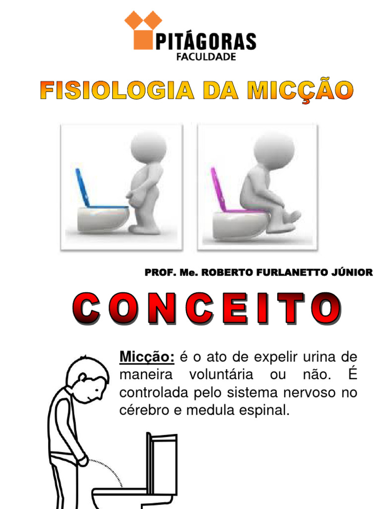 Fisiologia Da Micção - 220603 - 203131 | PDF