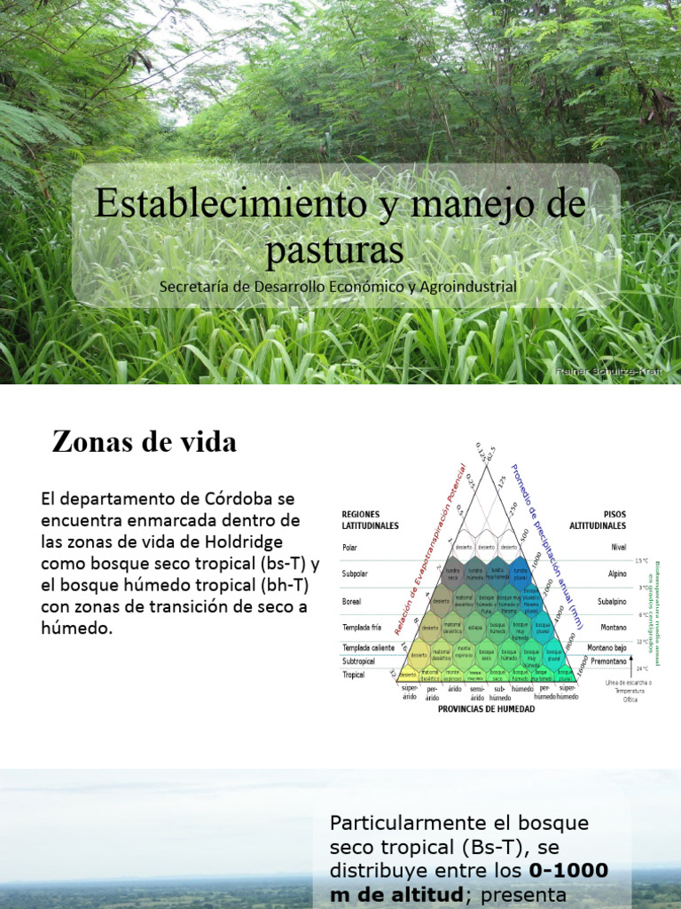 Establecimiento y Manejo de Pasturas | PDF | Zona tropical | Ciencias ...
