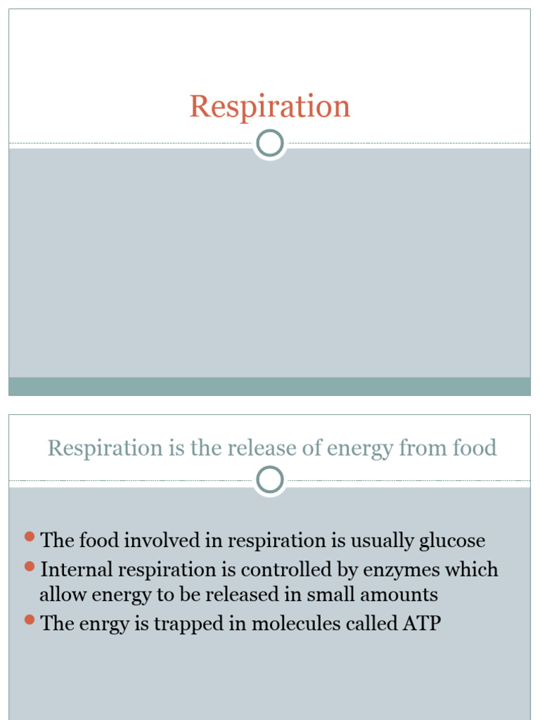 Respiration | PDF | Cellular Respiration | Fermentation