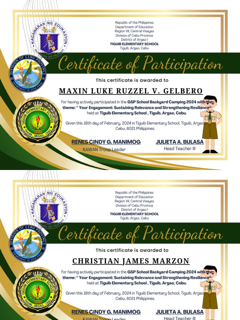 GSP BSP CERTIFICATE | PDF | Government Agencies | Separation Of Powers