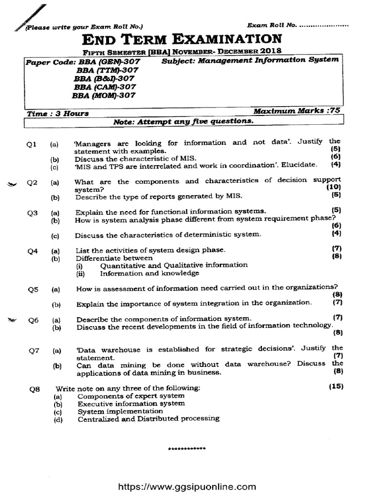 Bba 5 Sem Management Information System Bba Gen 307 Dec 2018 | PDF
