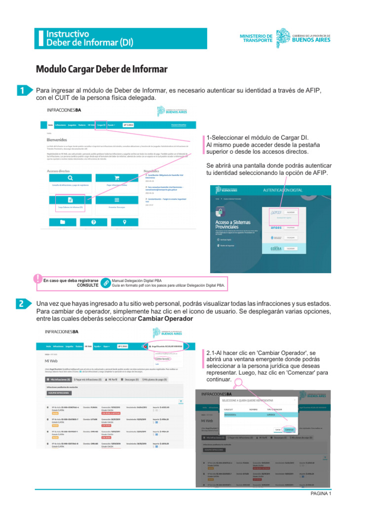 Instructivo Deber Informar | PDF