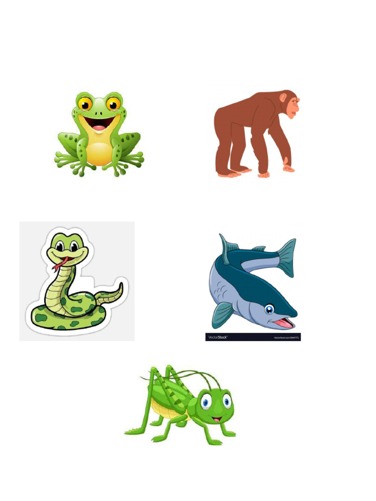 Animales Con S | PDF