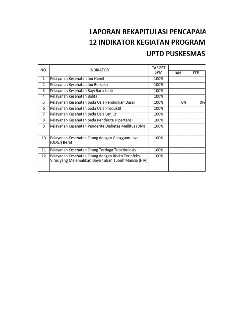 Laporan 12 Indikator UKM | PDF