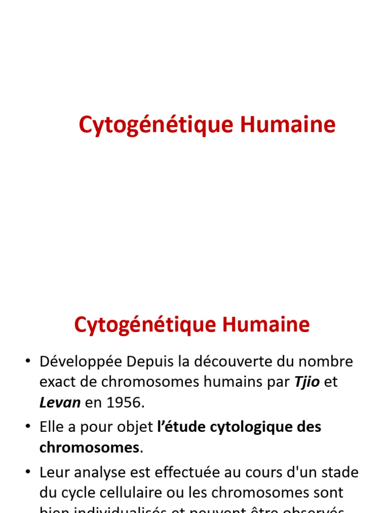 CytogÃ©nÃ©tique Humaine | PDF | Chromosome | Caryotype