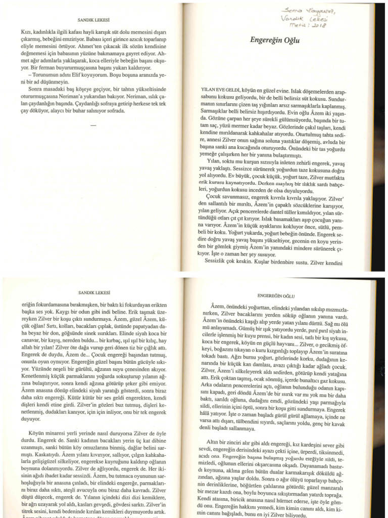 Sema Kaygusuz, Engereğin Oğlu | PDF