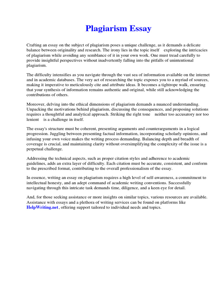 Plagiarism Essay | PDF | Computer Program | Programming