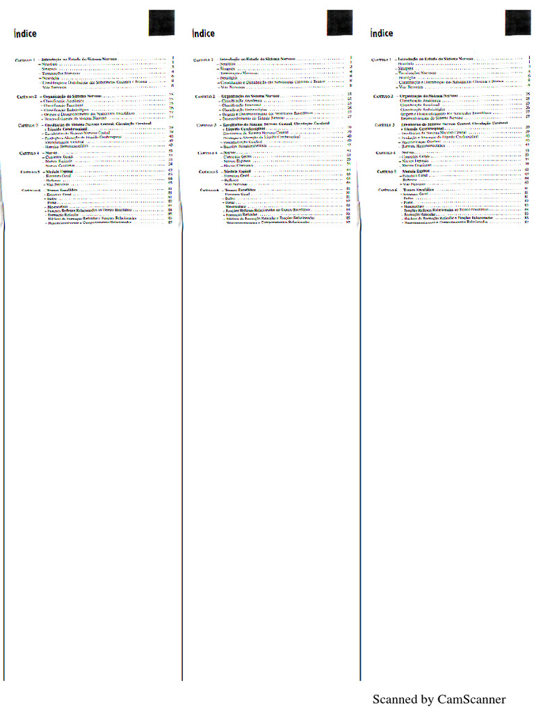 Neuroanatomia Pintar para Aprender PDF 3 PDF Free | Download Free PDF | Human–Machine ...