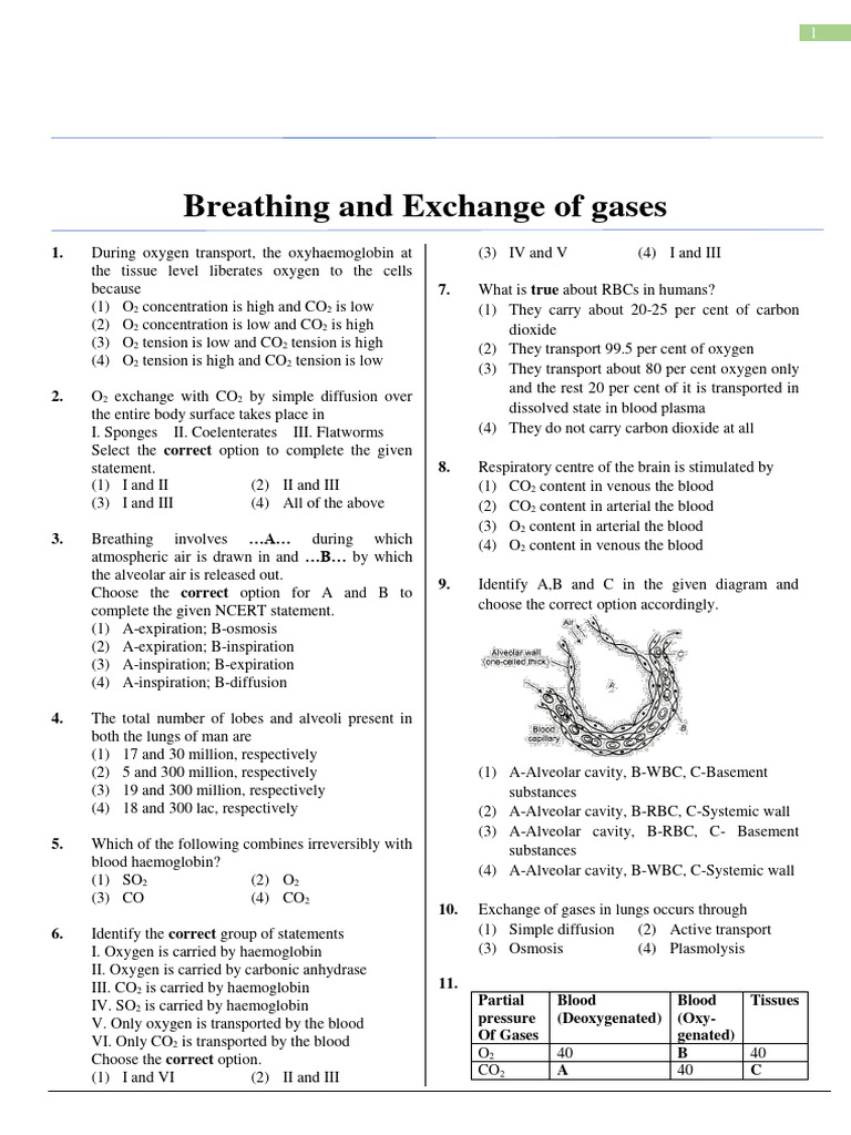 NCERT Based Breathing & Exchange of Gases (DPP) | PDF