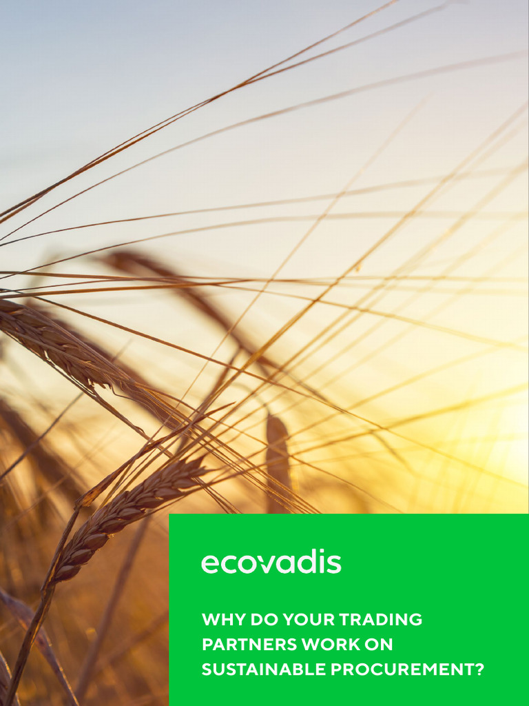 Ecovadis Why Do Your Customers Work On Sustainable Procurement