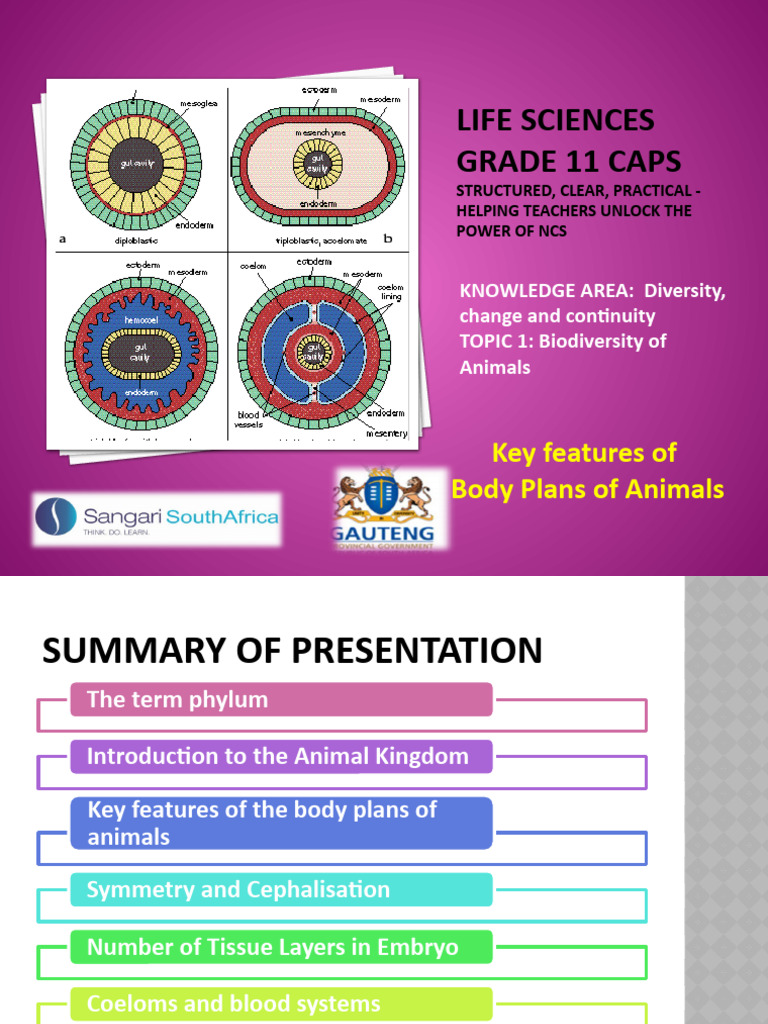 Grade 11 Animal Biodiversity Overview | PDF | Biology | Zoology