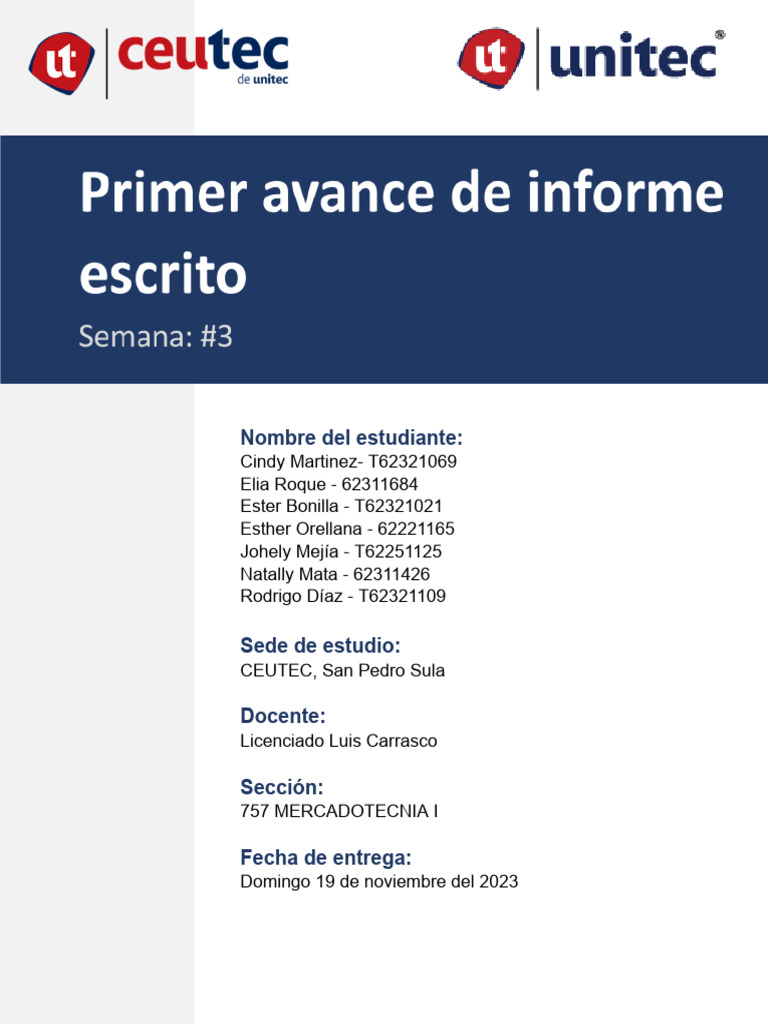 Avance 2 de Informe Escrito | PDF | Marketing | Producto (Negocio)