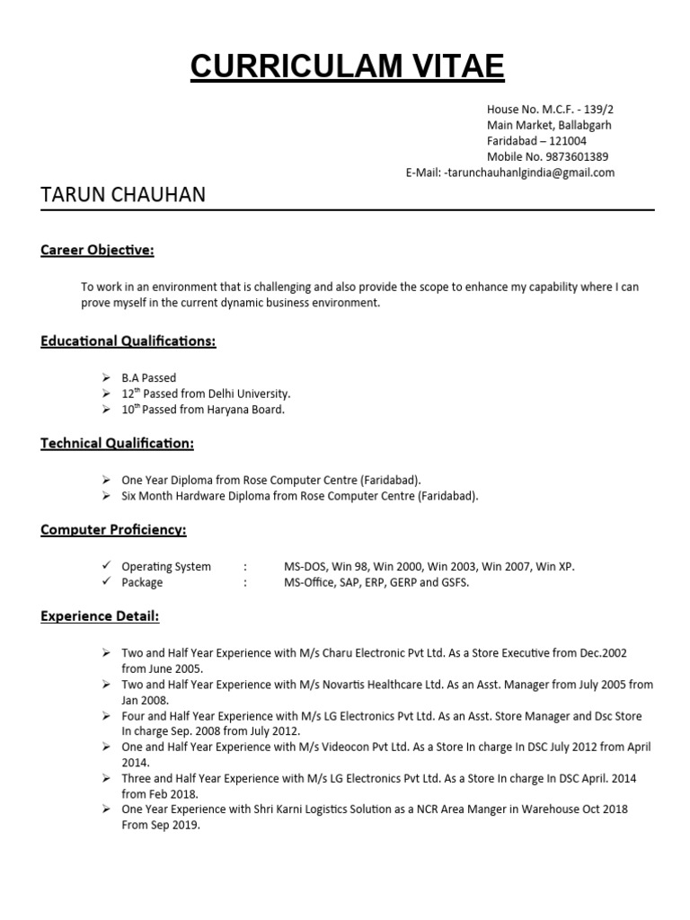 Curriculam Vitae | PDF | Business | Computing