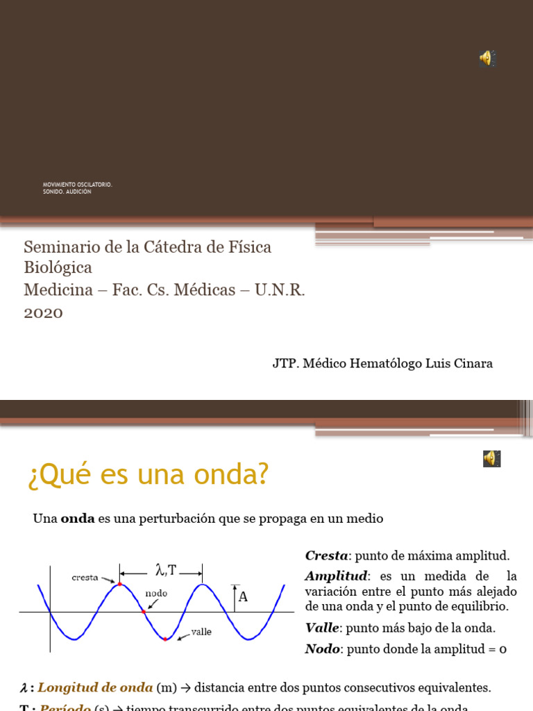 Sonido_Audicion_Biofisica2020final | PDF | Olas | Sonido