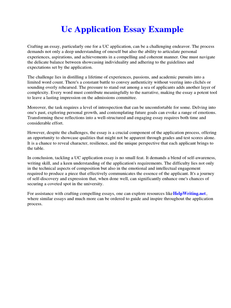 Uc Application Essay Example | PDF | Tunnel | Franchising