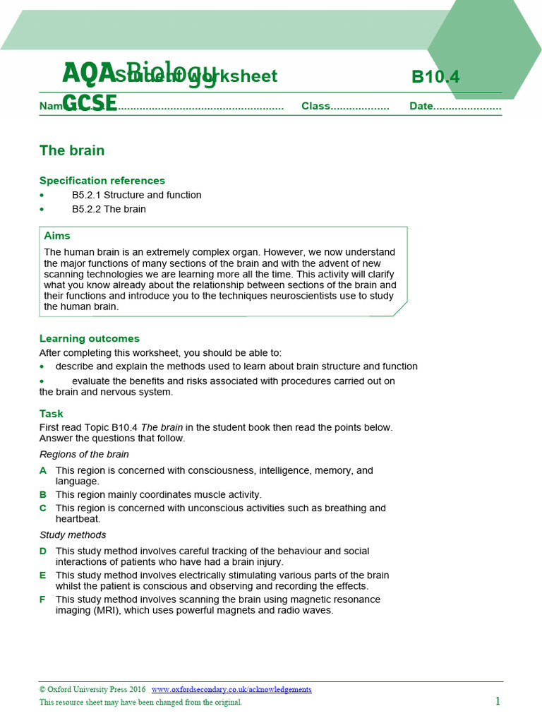 Year 10 Triple Science Option Brain Worksheet EJo | PDF | Magnetic ...