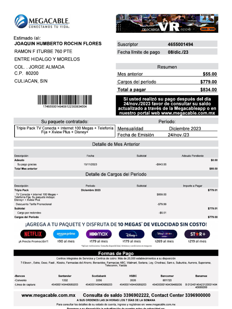 Megacable Rochin Flores | PDF