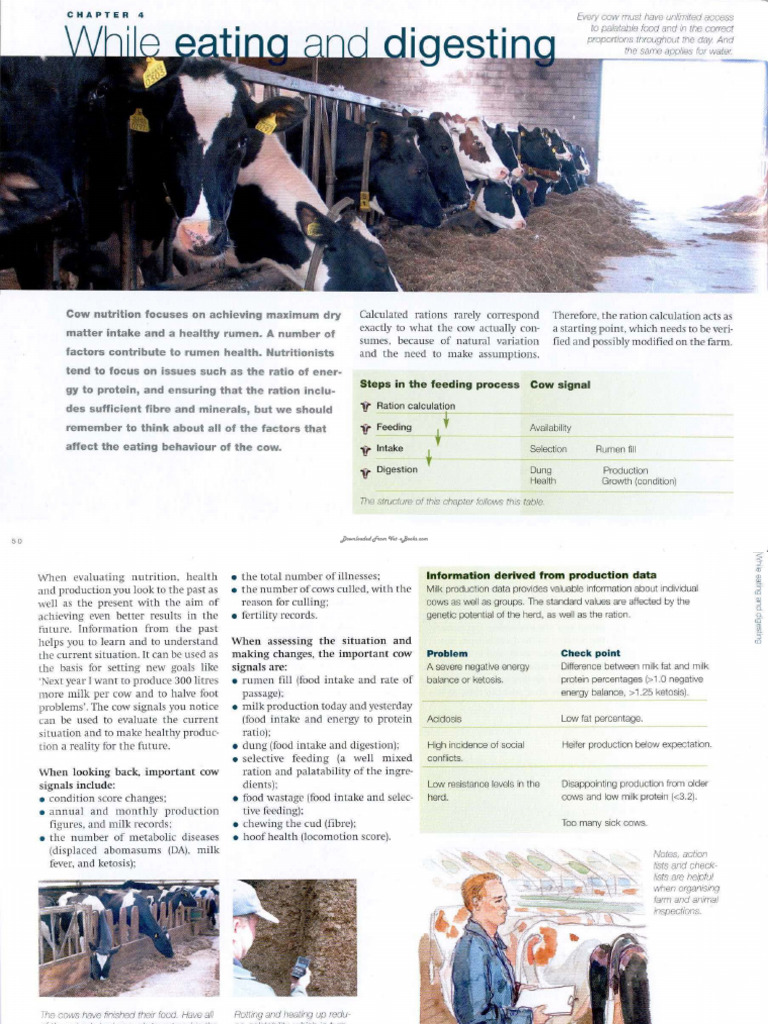 Cow Nutrition and Health Signals | PDF