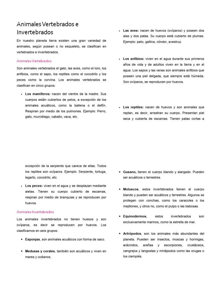 Animales Vertebrados e Invertebrados | PDF | Anfibio | Invertebrado
