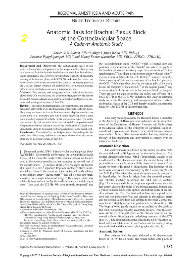 ANATOMIA | PDF | Anatomical Terms Of Location | Arm