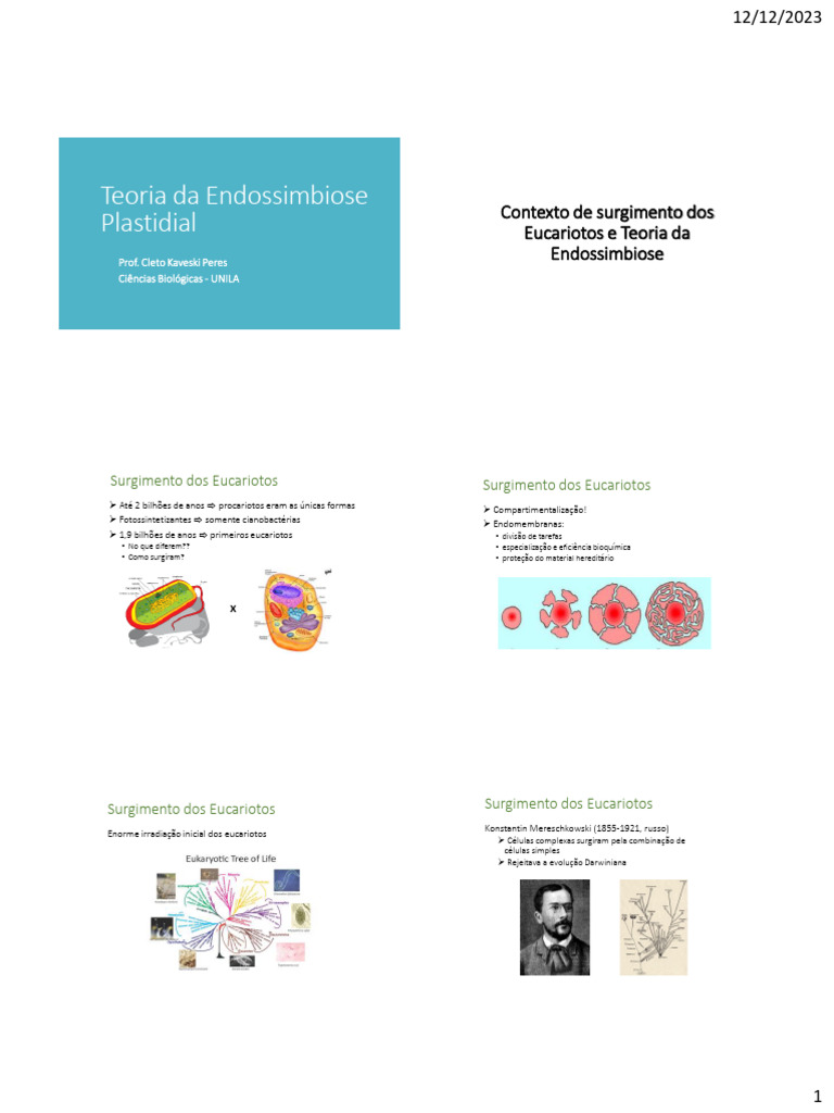 Aula4 Teoriadaendossimbiose Pdf Eucariotas Biologia