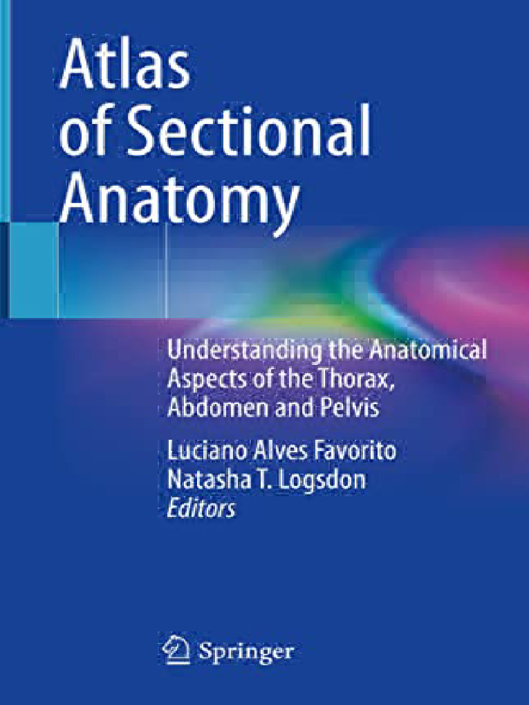 Atlas of Sectional Anatomy Understanding The Anatomical Aspects of The ...