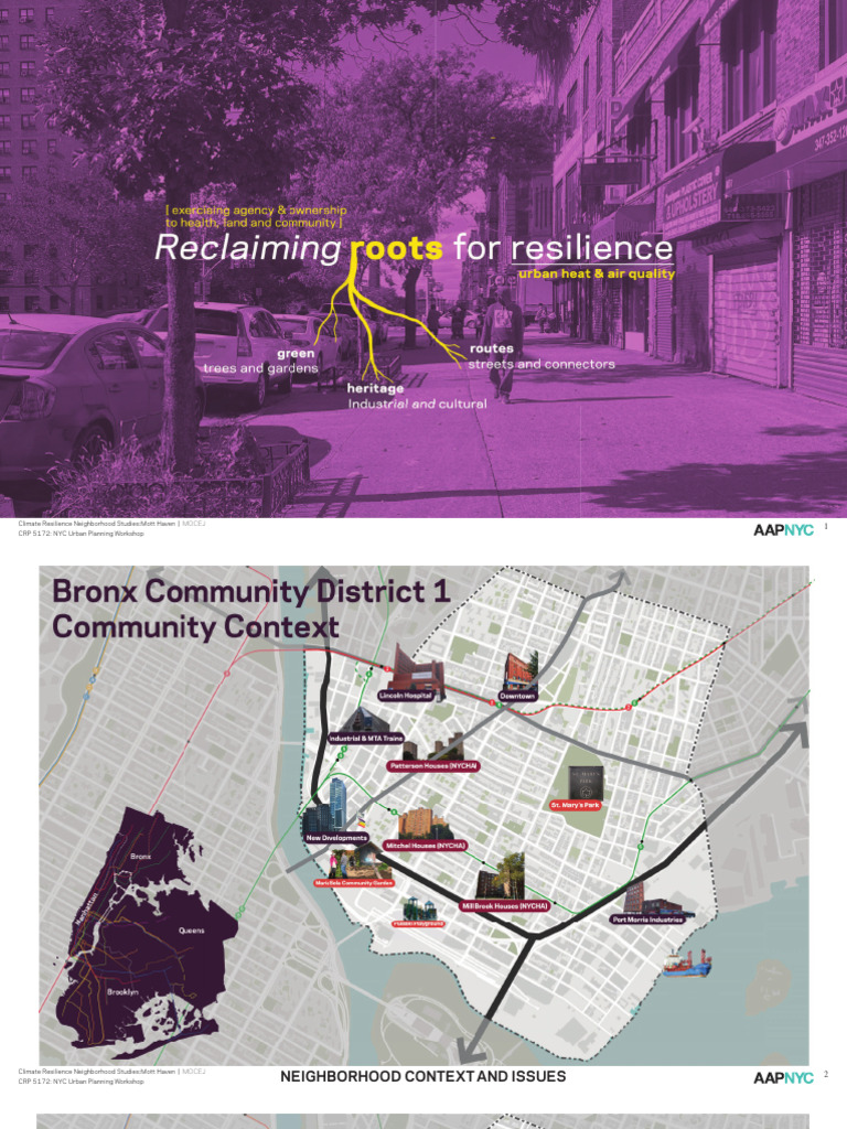 Roots for resilience | PDF | Urban Planning | Planning