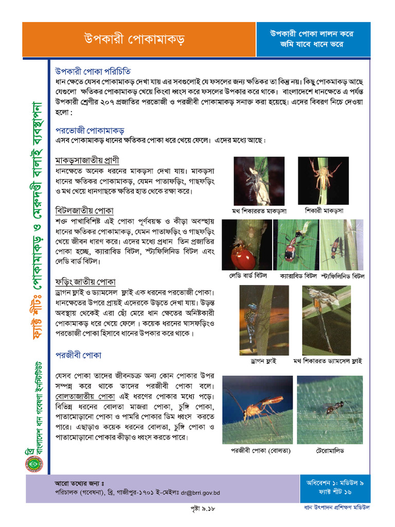 Beneficial Insects | PDF