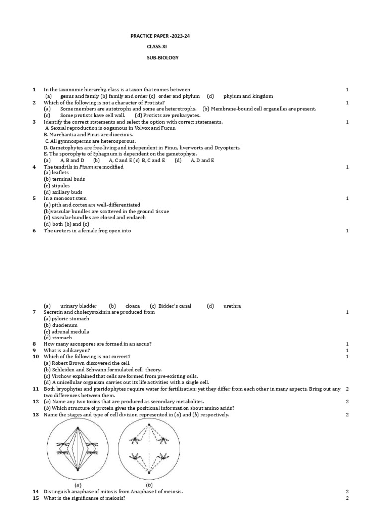 Practice Paper 2023 24 | PDF