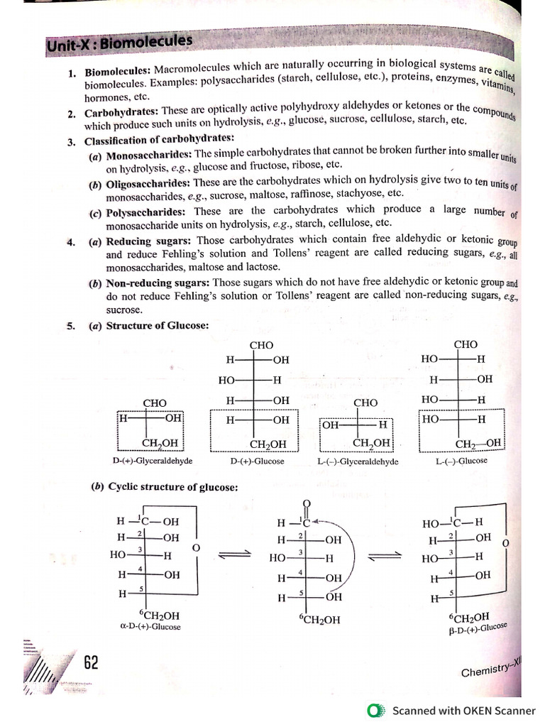 Biomolecules Notes | PDF