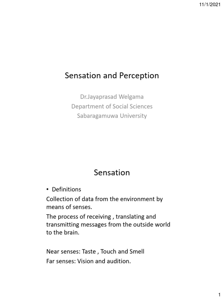 Perception | PDF