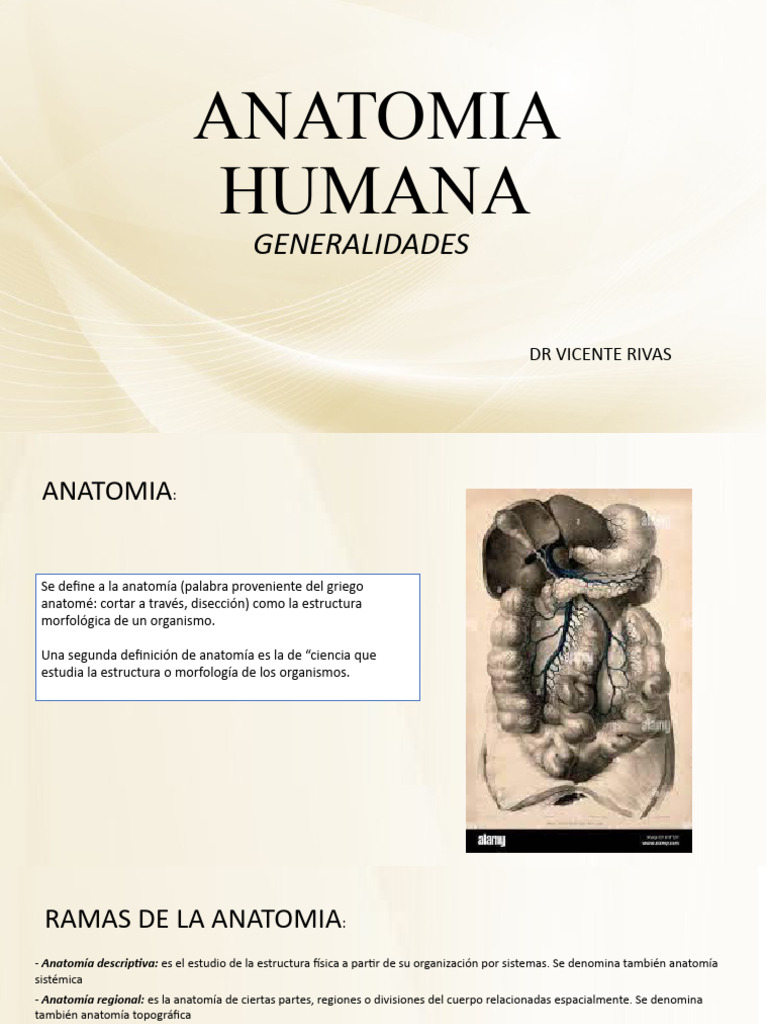 Generalidades de Anatomia | PDF | Hueso | Músculo esquelético