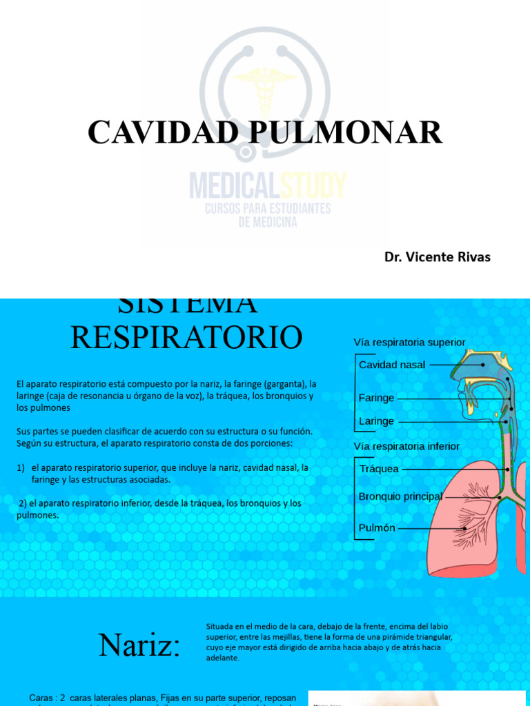 Cavidad Pulmonar | PDF | Nariz humana | Laringe