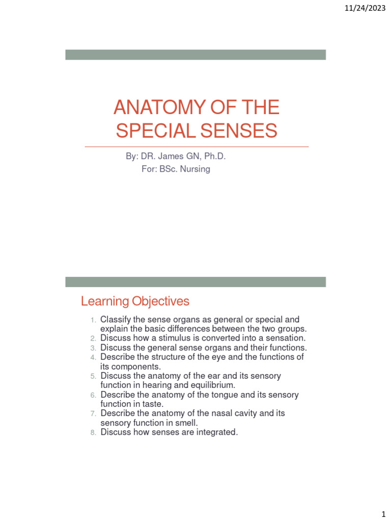 Anatomy and Functions of Special Senses | PDF | Ear | Auditory System